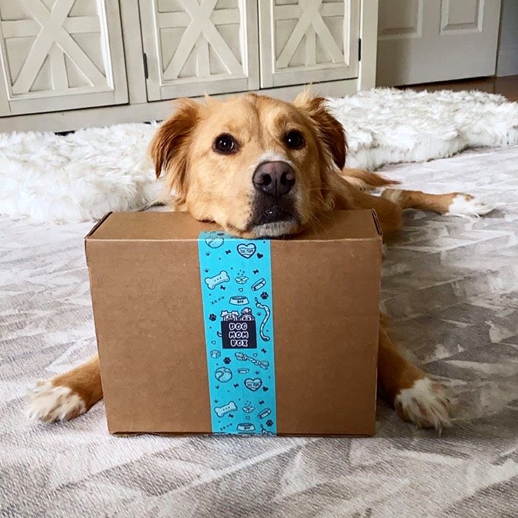 Dog Mom Box | Subscription box for dog moms