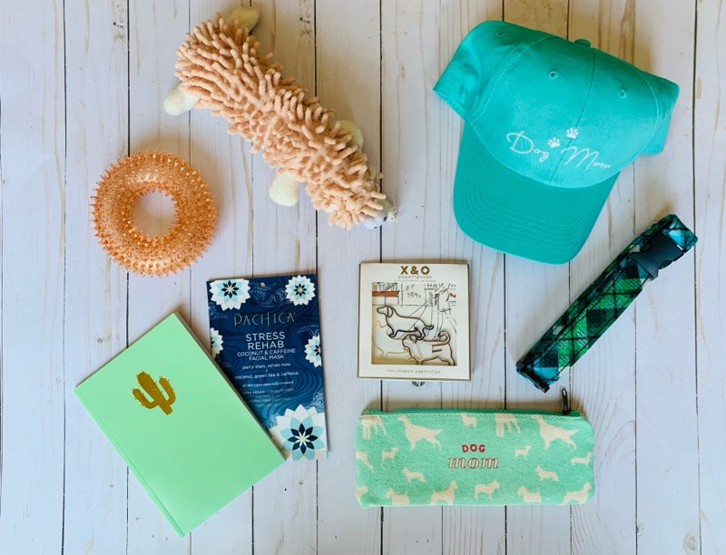 Subscriptions - Dog Mom Box